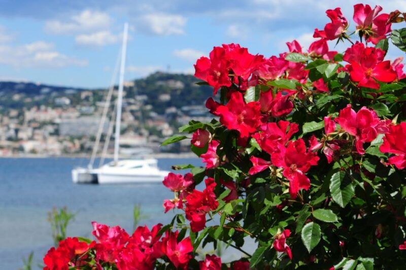 Cannes: Private Trip to Grasse, Antibes, & St. Paul de Vence - Who Will Love This Tour?
