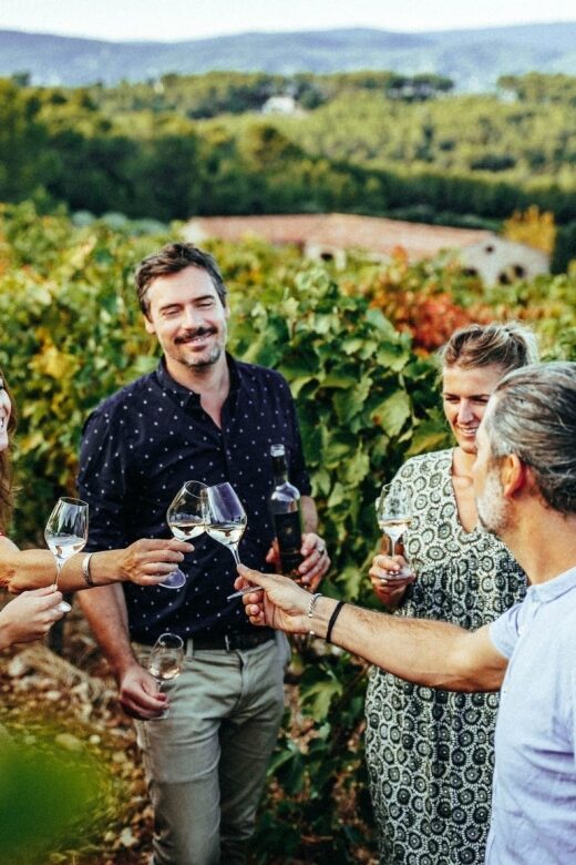Cannes: Provence Wine Tour - Private Tour from Cannes - Potential Considerations