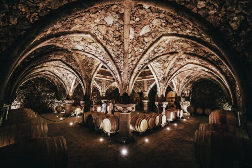 Cannes: Provence Wine Tour - Private Tour from Cannes - FAQ