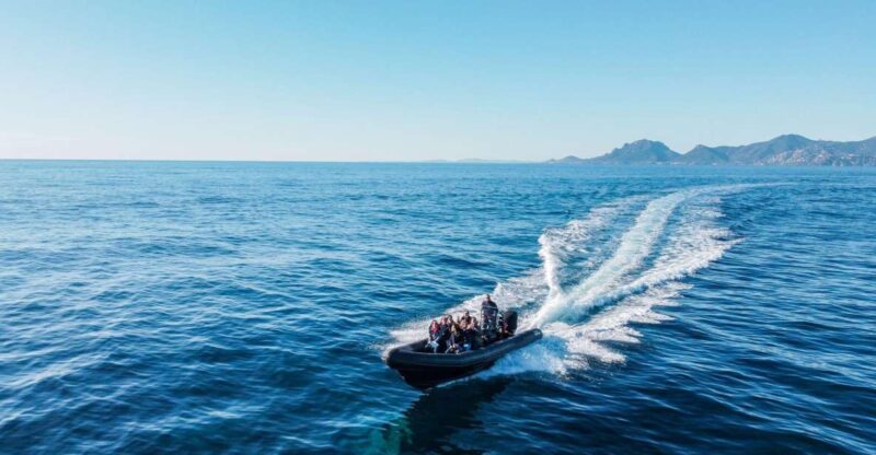 Cannes: Scenic Coves RIB Boat Tour - The Bottom Line: Who Is This Tour For?