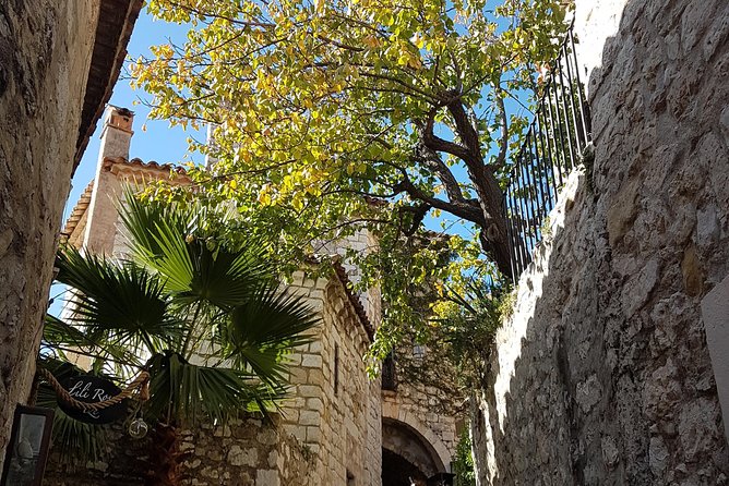 CANNES Shore Excursion: French Riviera Highlights With Your Guide - Meeting and Pickup Details