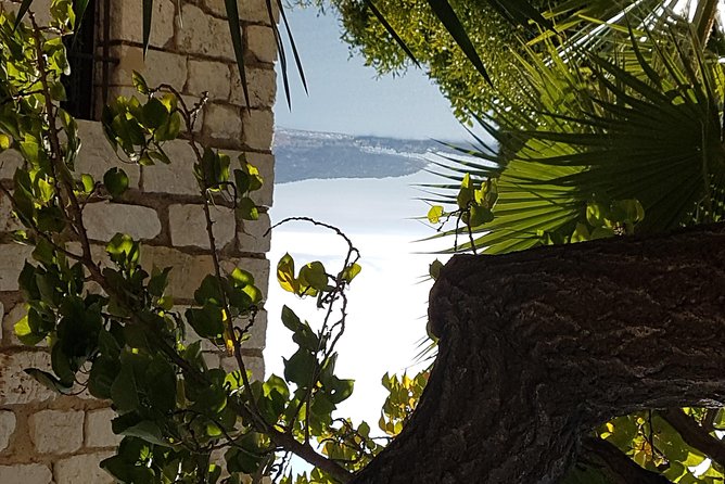 CANNES Shore Excursion: French Riviera Highlights With Your Guide - Customer Reviews and Experiences