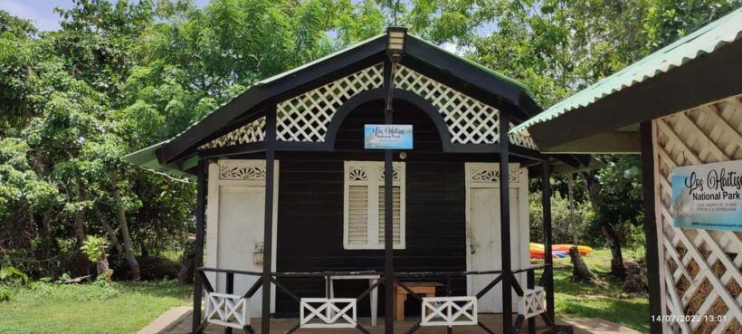 Cano Hondo Natural Pools & Los Haitises boat tour - An Authentic Adventure in the Dominican Republics Natural Heart