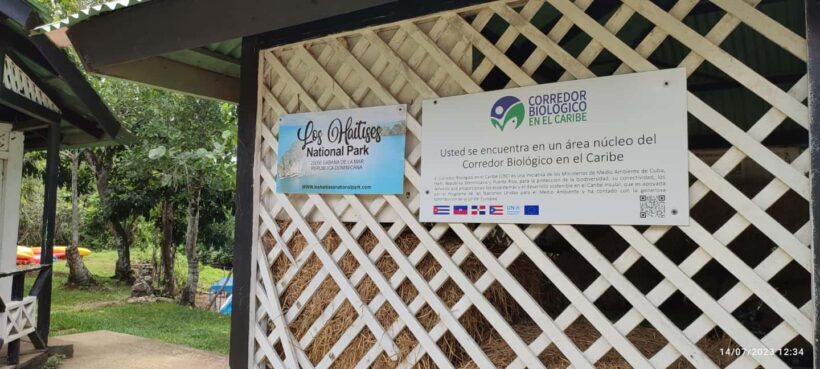 Cano Hondo Natural Pools & Los Haitises boat tour - Who Will Love This Tour?