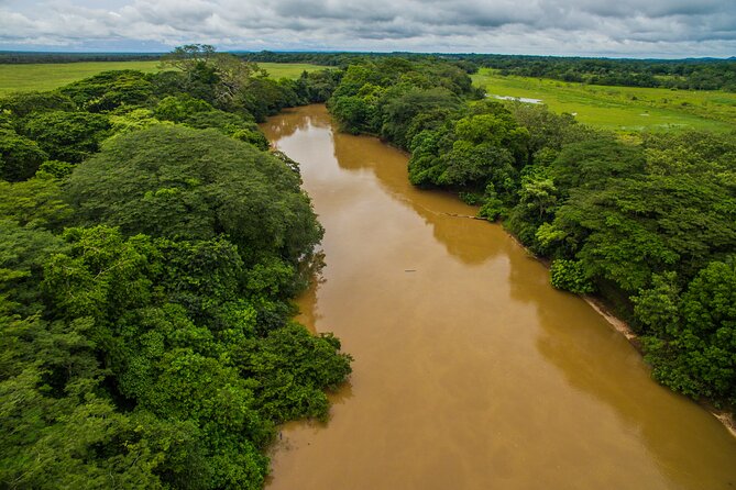 Caño Negro by Boat Incl. Traditional Costa Rican Lunch - Tour Overview and Highlights