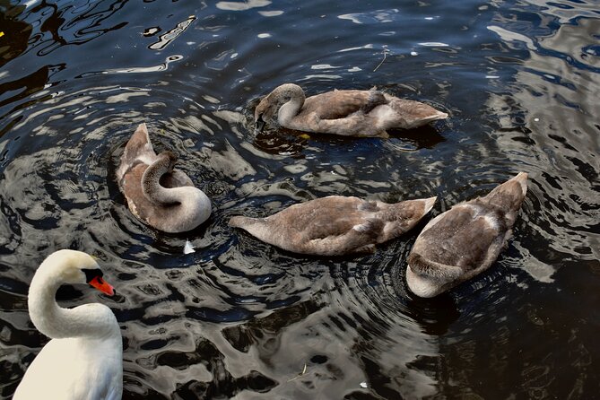 Canoe Adventure Tour Through Prague - Practical Details and Tips