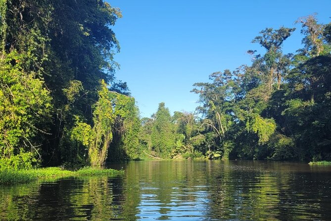 Canoe Boat Tour in Tortuguero Canal - Tour Overview