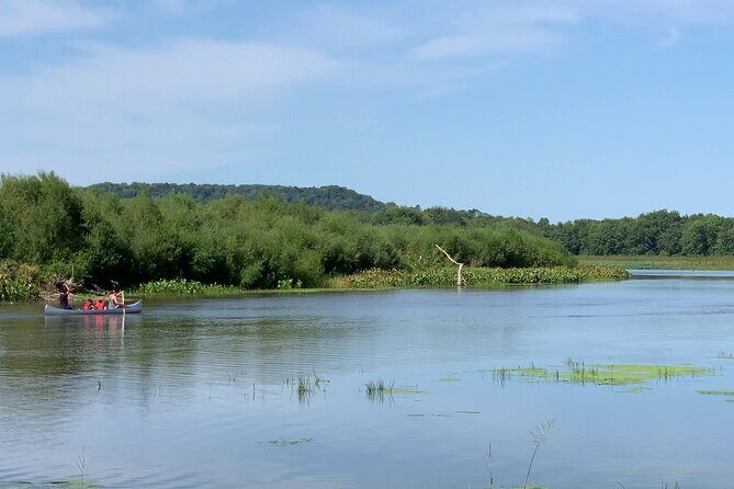 Canoe/Kayak Day Tour of Mississippi Wildlife & Fish Refuge - An In-Depth Look at the Mississippi Wildlife & Fish Refuge Tour