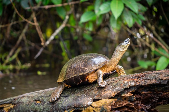 Canoe Tour Inside the Park - Meeting Point and Arrival