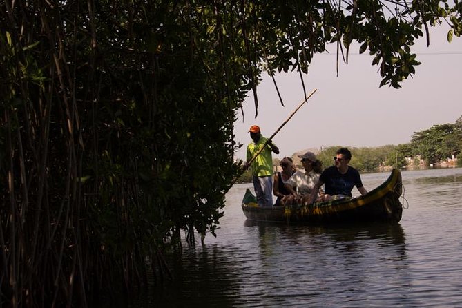 Canoe Trip in the Mangrove Forest in La Boquilla - Encounters With Local Fishermen