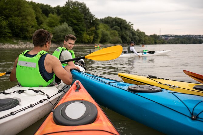 Canoe trip on Danube river with BBQ - What to Expect on the Itinerary