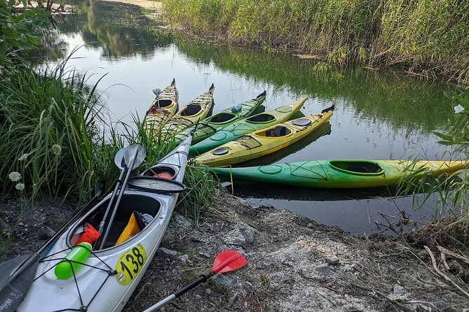 Canoe trip on Danube river with BBQ - Who Will Love This Tour?