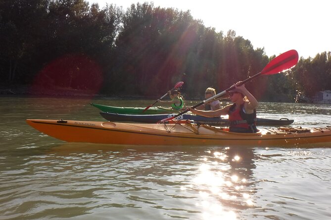 Canoe trip on Danube river with BBQ - The Sum Up