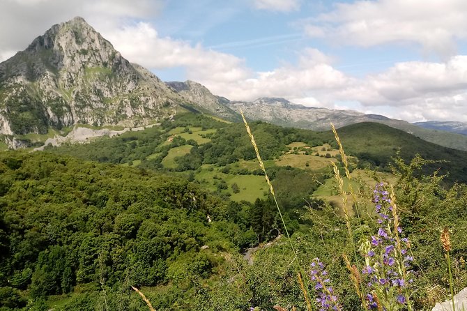 Canoeing, Cave & Collados Del Ason -small groups - FAQ