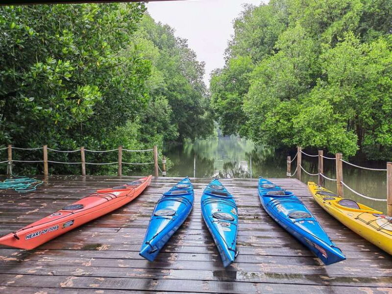 Canoeing Mangrove Experience in Jakarta - Practical Tips for Making the Most of Your Tour