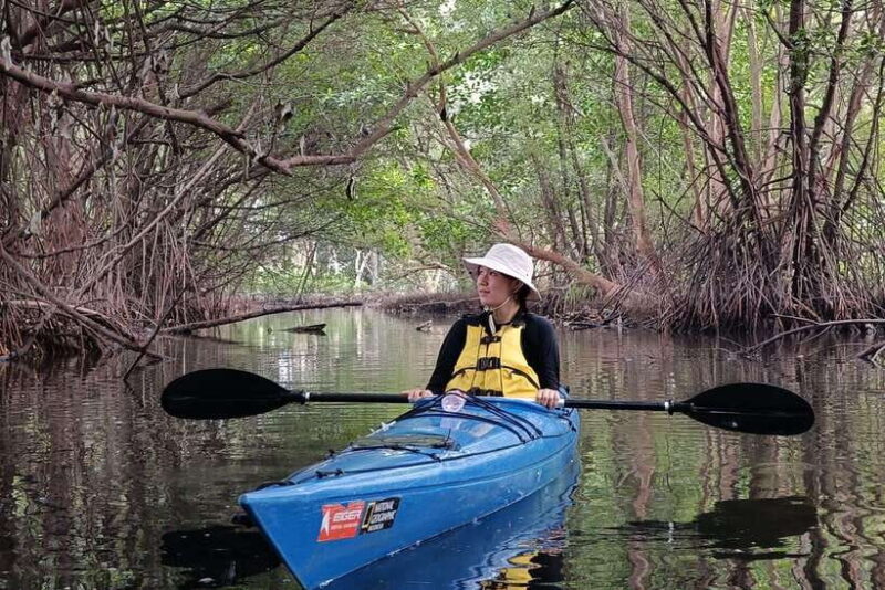 Canoeing Mangrove Experience in Jakarta - The Sum Up