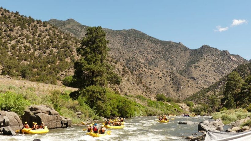 Cañon City: Bighorn Sheep Canyon Guided Rafting Adventure - The Sum Up