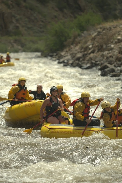 Cañon City: Bighorn Sheep Canyon Guided Rafting Adventure - The Value of this Rafting Experience