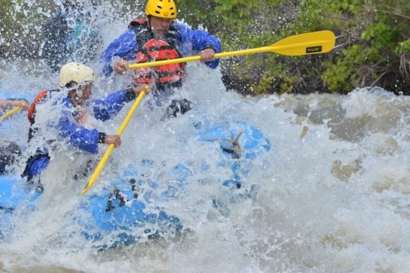 Cañon City: Half-Day Royal Gorge Whitewater Rafting Tour - The Practicalities: Transport, Price, and Safety