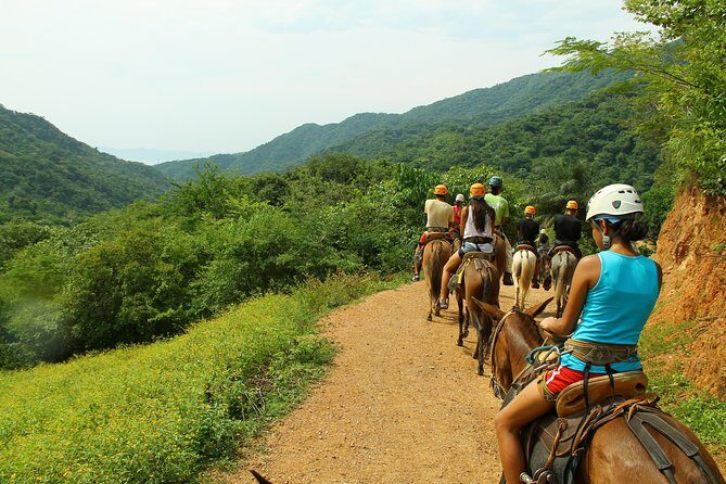 Canopy River Zipline Tour and Mule Ride - What to Expect from Your Day