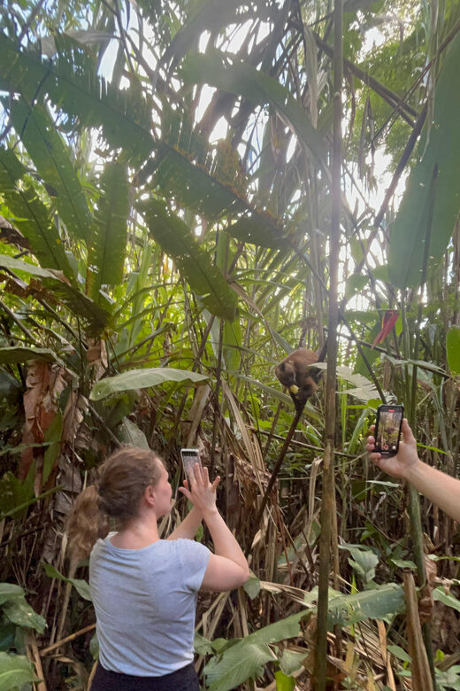 Canopy Tower, Zipline, Kayak, and Monkey Island - Key Points