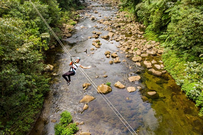 Canopy (Zip Line) - Half Day Pass Braulio Carrillo - Tour Details and Inclusions