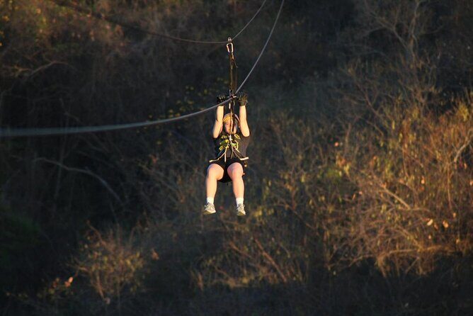 Canopy Zipline Tour in Punta Mita - The Scenic Views: Why They Matter
