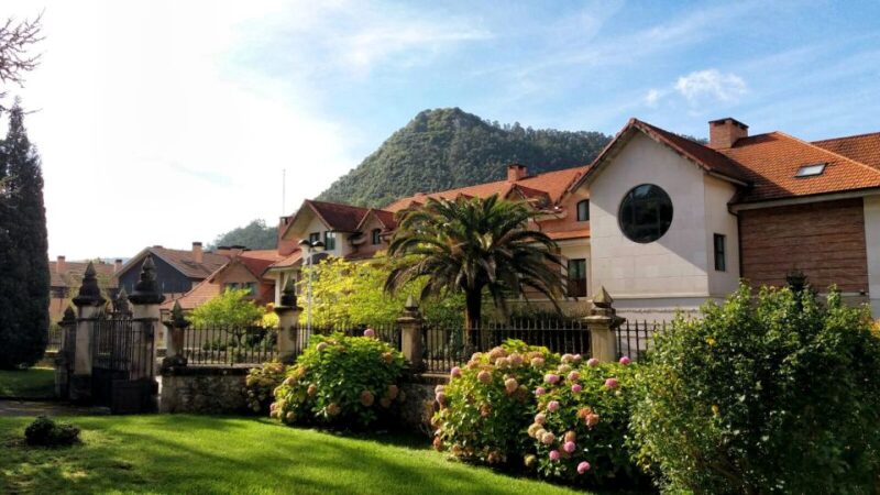 Cantabria: El Castillo Caves & Paleolithic Art - Who Will Love This Tour?