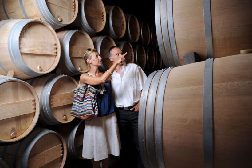 Cantabria: Wine and Liquor Tasting Guided Tour with Snacks - Who Will Enjoy This Tour?