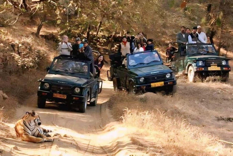 Canter Safari: Skip-the-line Entry Ranthambore Tiger Reserve - What This Safari Offers: A Close Look at the Experience