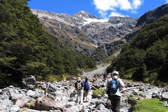 Canterbury Plains and Southern Alps All day Discovery Tour - Final Thoughts: Is It Worth It?