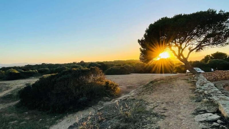 Canyamel: TimeForTwo, fun game,quiz and walk in nature - What to Expect During the Tour