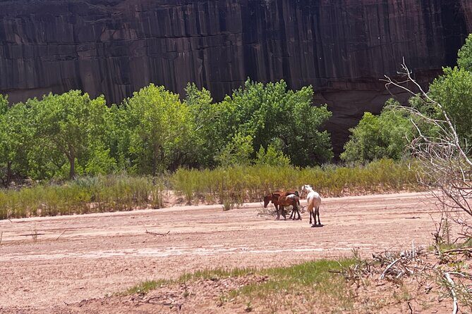 Canyon Combo Tours - The Sum Up