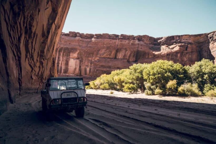 Canyon de Chelly: Spider Rock Rim Tour & Storytelling - The Experience in Detail