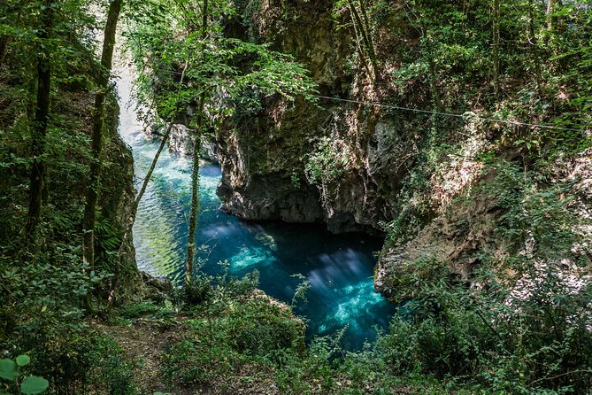 Canyon Park Zip Lane and Lunch - Key Points