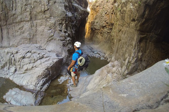 Canyoneering Adventure in Phoenix - Adventure Highlights and Activities