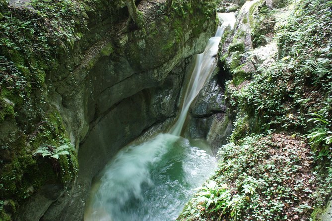 Canyoning Discovery 3h in Aix Les Bains / Chambéry: Ternèze - Recommended by 100% of Travelers