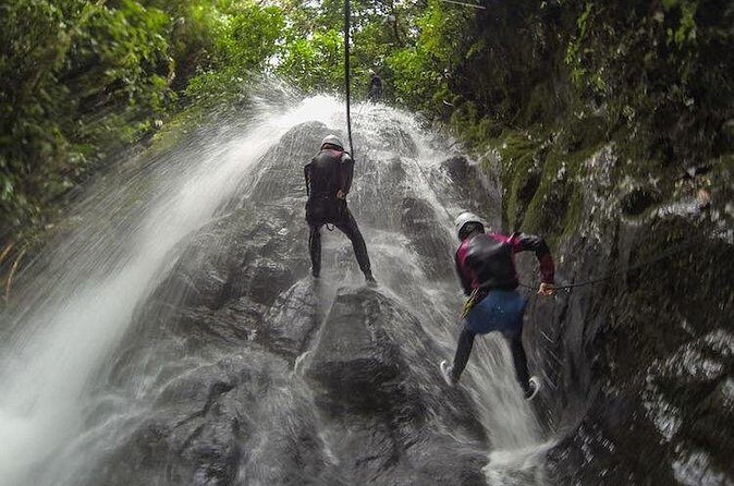 Canyoning Discovery in Dominica - The Sum Up