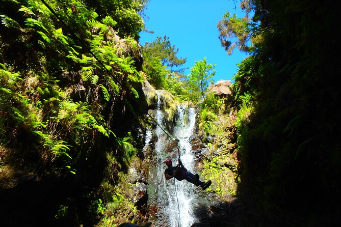Canyoning Madeira Island - Level One - Who Would Love This Tour?