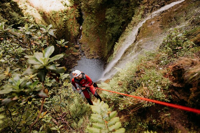 Canyoning Madeira Premium Advanced - The Itinerary: What to Expect