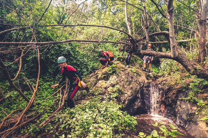 Canyoning with Waterfalls in the Rainforest - Small Groups - The Cost and Value