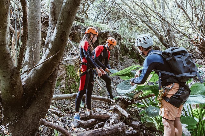 Canyoning with Waterfalls in the Rainforest - Small Groups - Practical Details and Considerations