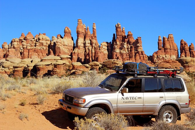 Canyonlands National Park Needles District by 4x4 - What Makes This Tour Stand Out?