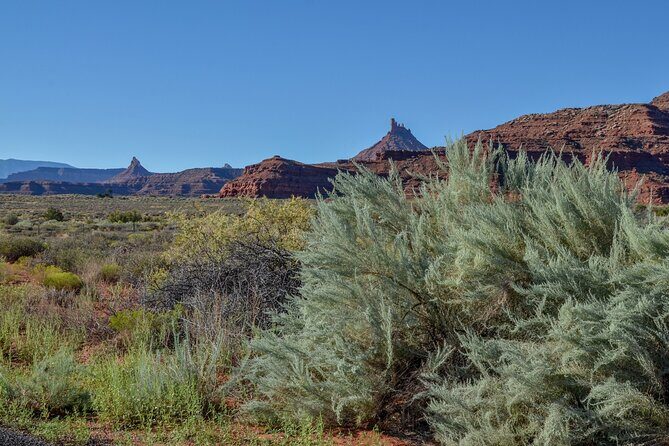 Canyonlands Needles District Self Guided Driving Audio Tour - FAQ
