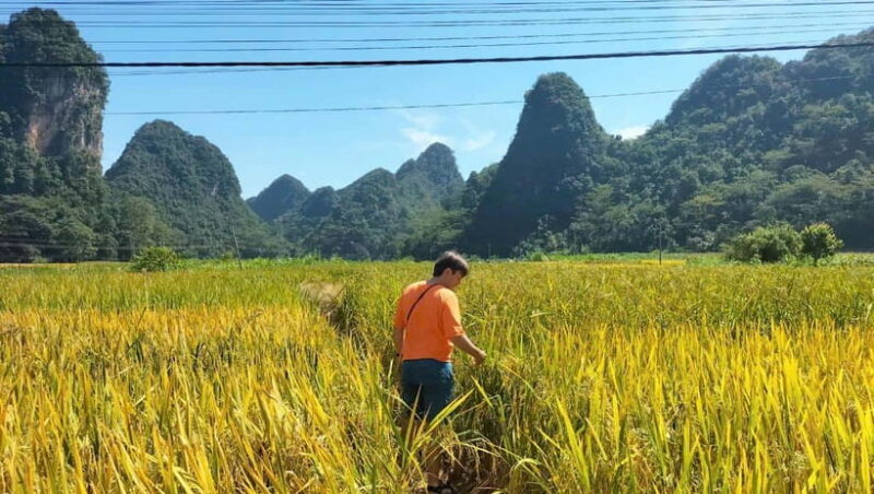 Cao Bang: 3-Day Cao Bang Loop Tour Visit Local Village - Authentic Experiences and Authenticity