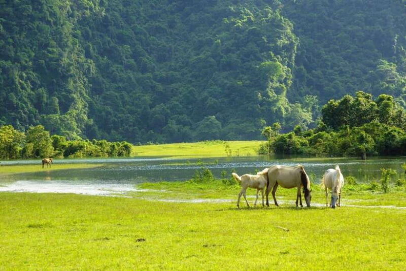 Cao Bang motorbike tour 2 days 1 night - FAQ