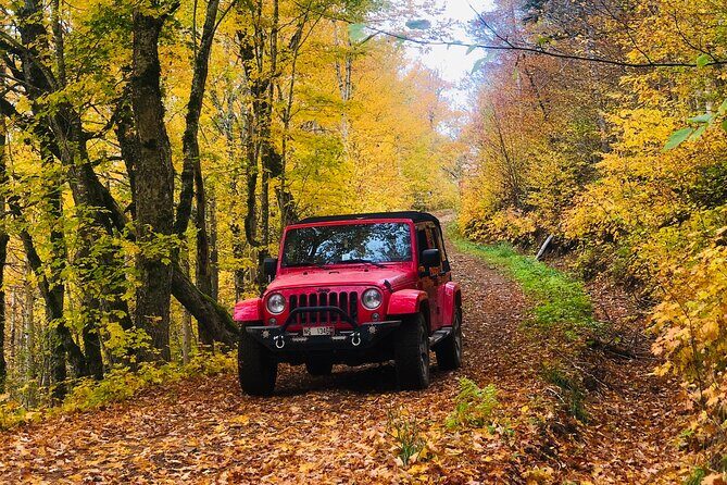 Cape Breton Scenic Jeep Adventure - Who Should Consider This Tour?