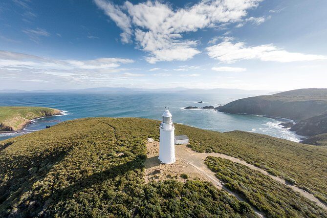 Cape Bruny Lighthouse Tour - Bruny Island - What Makes This Tour Stand Out