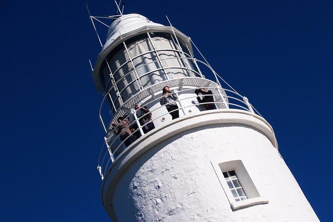 Cape Bruny Lighthouse Tour - Bruny Island - Practical Tips for Visitors