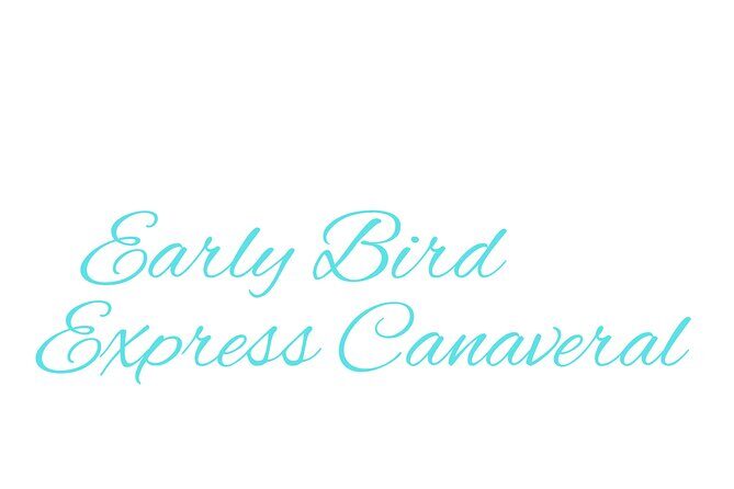 Cape Canaveral Private Transfer to MCO Orlando Airport - The Vehicle and Comfort Features